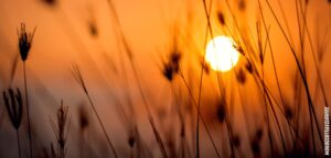 Morocco Climate : A Guide to Weather Patterns and Best Travel Times